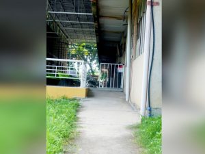 PWD ramp and railing at the College of Agriculture, Annex building ...