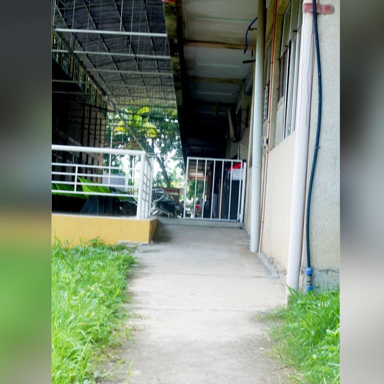 Reserved PWD-parking space at the Organic Agriculture building ...