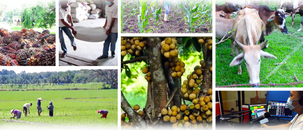 USM | Resource Generation and Entrepreneurial Services