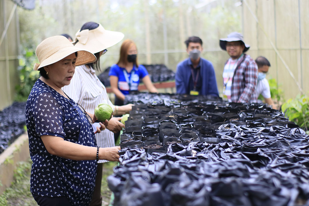 Organic Agriculture – University of Southern Mindanao