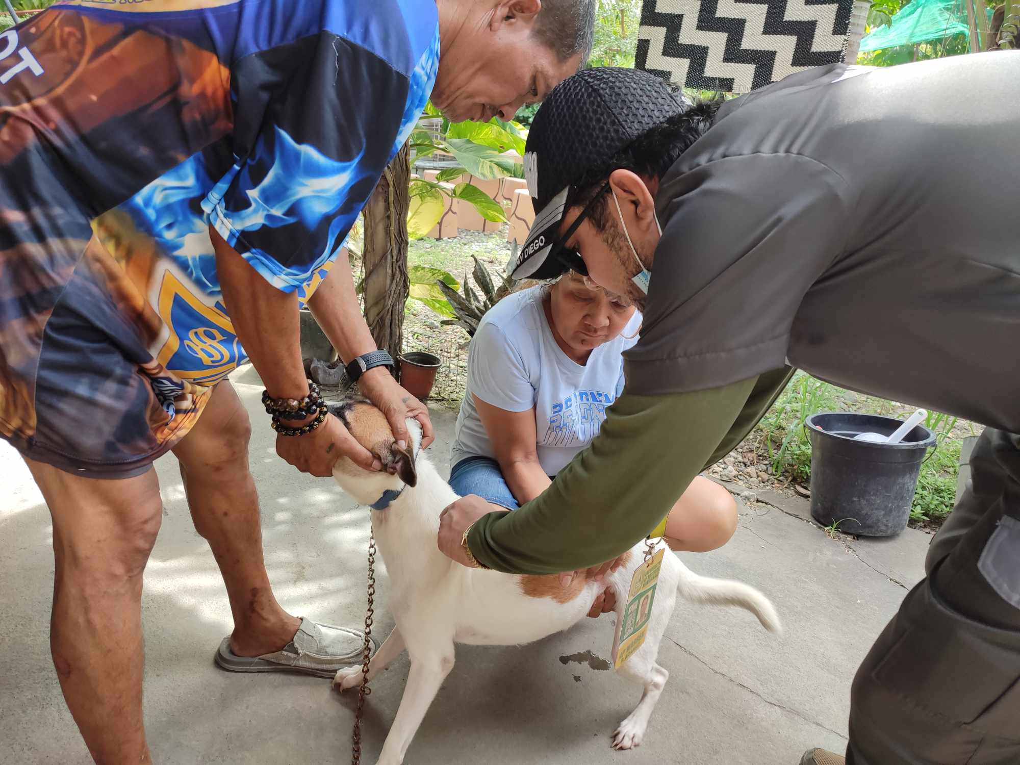 OPVET, OMAG-Kabacan, and USM-CVM Conducted Mass Anti- Rabies ...